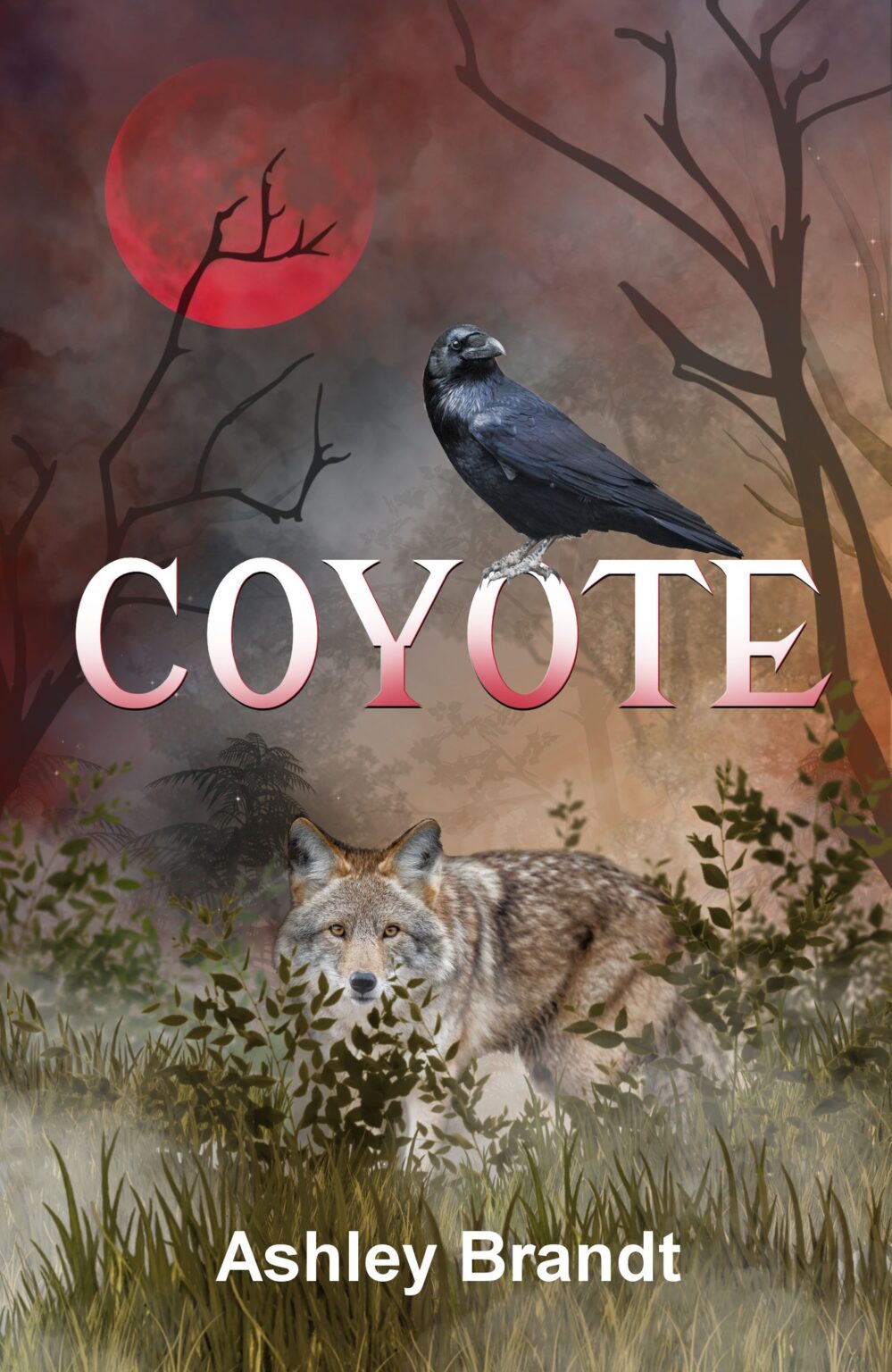Coyote - Book Reviews, Fantasy, Mystery / Thriller, Romance - Editors ...